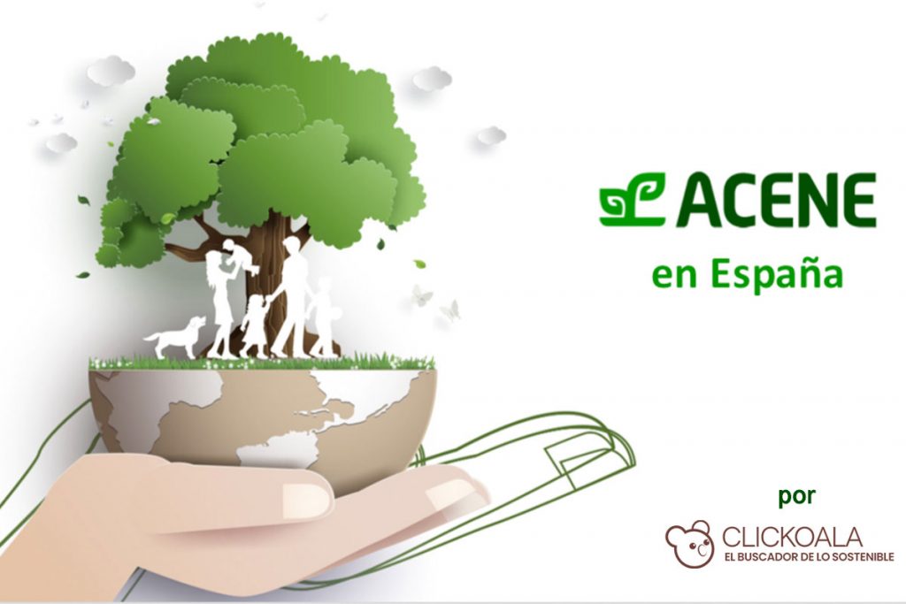 Informe Certificado ACENE por ClicKoala 2021 | Acene Certificación de ...